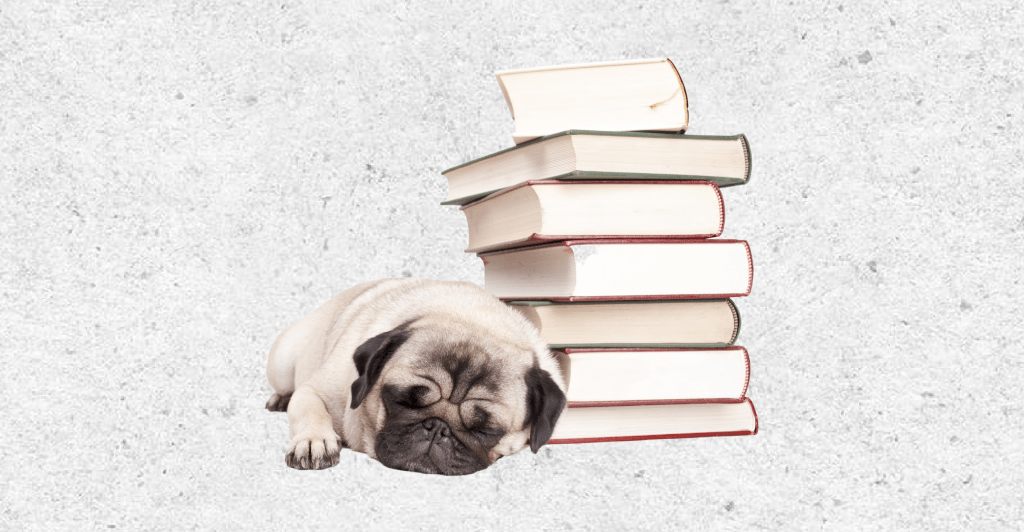 5 Favorite Dog Picture Books | Harris County Public Library