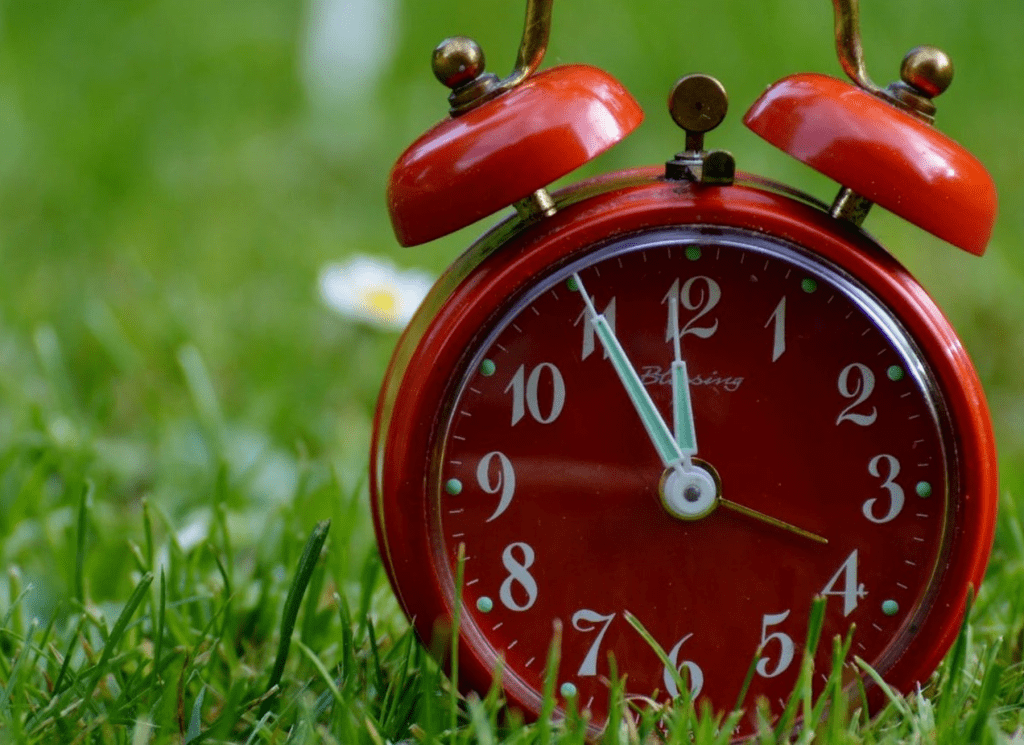 8 Great Reasons to Spring Forward | Harris County Public Library
