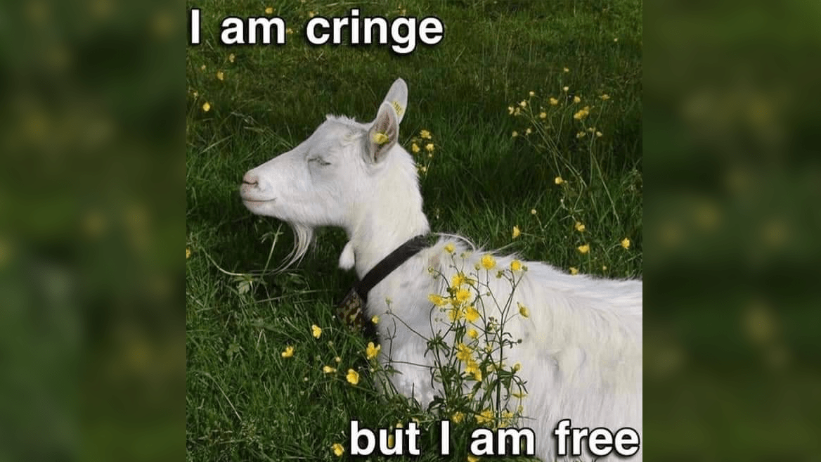 Cringecore: To Be Human Is To Be Cringe | Harris County Public Library